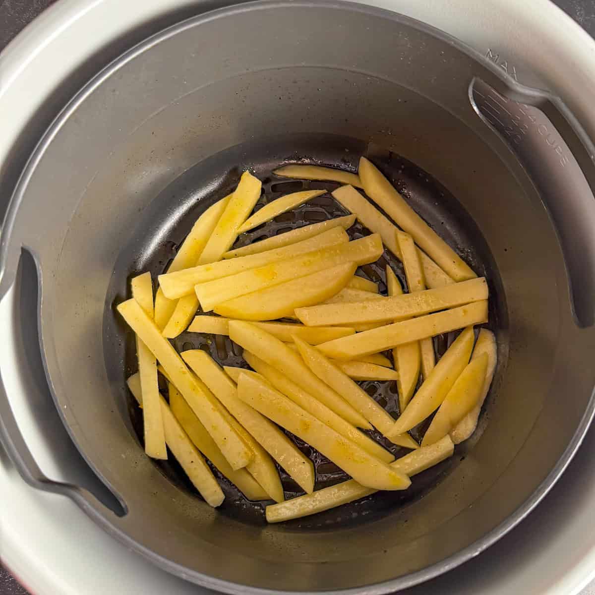 Instant Pot French Fries Recipe
